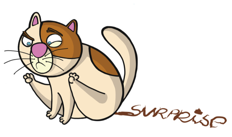 Cat Scooting - Why Does It Happen & What To Do? » Petsoid