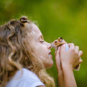 Hamster Life Cycle: Different Stages in their life » Petsoid